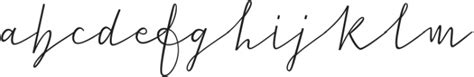 Cursive Signa Script Light Oblique Ttf 300 Font Script E What Font Is