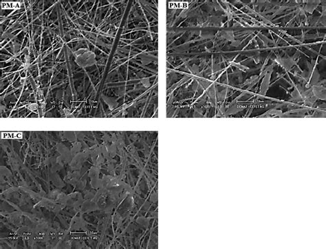 Sem Images Showing The Morphology Of Airborne Particles In Samples