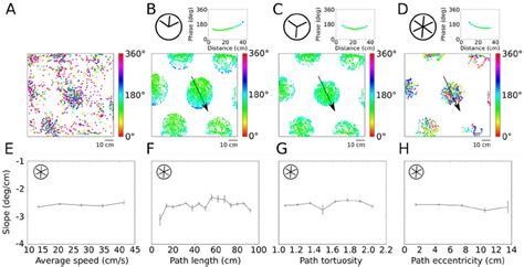Testing Predictions Of Oscillatory Interference Models A Spikes Download Scientific Diagram