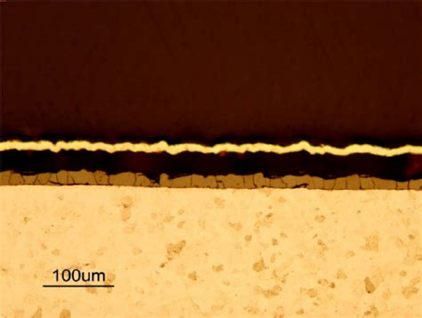 Cross Section Image For Etched Sample In N 2 25h 2 25h 2 O At T4 H Download Scientific Diagram