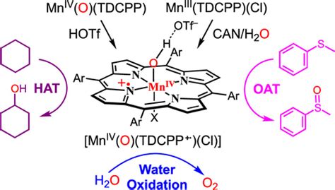 Journal Of The American Chemical Society Vol 145 No 15 Acs Publications