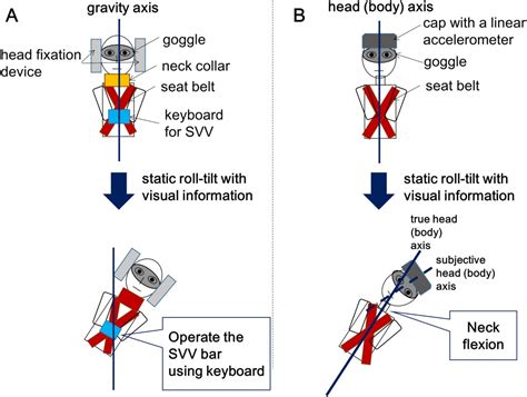 Visual Effects On The Subjective Visual Vertical And Subjective Postural Head Vertical During