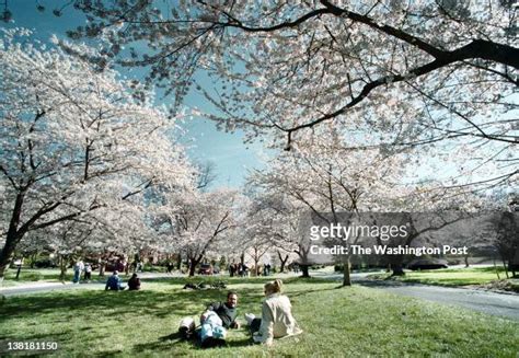 Phkenwood Jahi Chikwendiutwp Francesco Zamboni And Kelly Zamboni