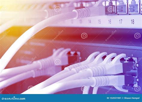 Network Cables In Network Switch And Patch Box In Server Room Stock Image Image Of Internet