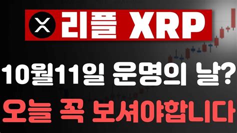 리플전망 다음주는 결정적인 날 리플ceo의 발언 오늘 영상은 꼭 보셔야합니다 리플전망 리플호재 리플급등 리플코인 리플소송 리플시세 리플xrp Youtube