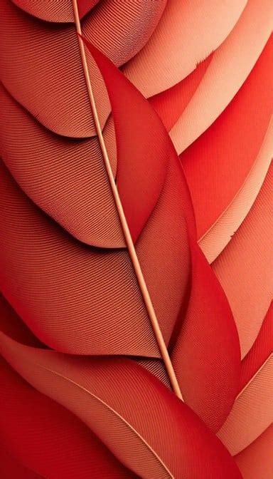 Free Crimson Feather Patterns Image Download At Stockcake