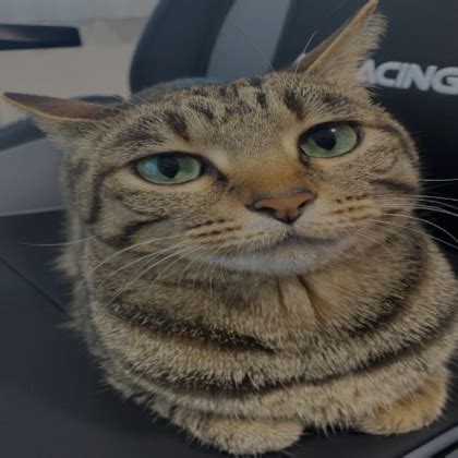 Create A Scp Song Tierlist Tier List TierMaker