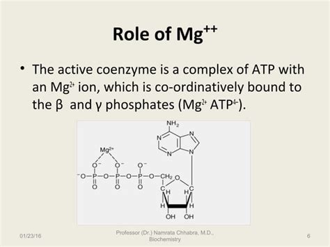 Atp The Universal Energy Currency Of Cell Ppt