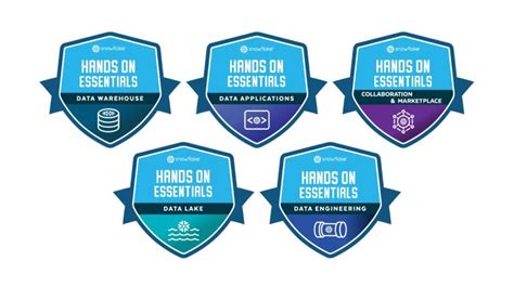 Snowflake Datacloud Dataanalytics Sql Learningjourney