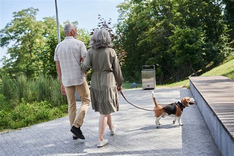 次の年金支給日は6月13日金曜！「約46 5万円の年金」が支給される標準的な夫婦《現役時代の平均年収・勤続年数》はどれくらい？ 【2025年度】公的年金は1 9 ・年金生活者支援給付金は2 7