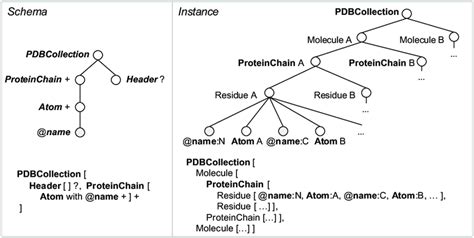 A Collection Schema Left Shown As Both A Tree Pattern And Using The A Collection Schema Left Shown As Both A Tree Pattern And Using The