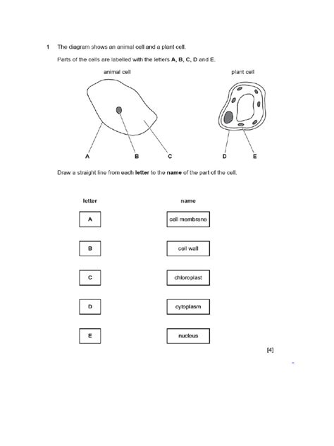 Science Practice Questions 3 Pdf
