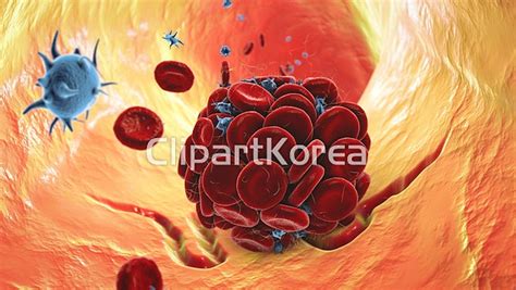 해외작가포토 클립아트코리아 통로이미지주