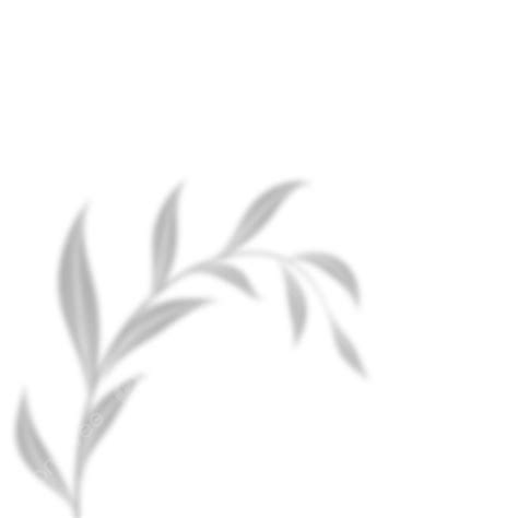 Leaf Shadow Vector Leaf Ornament Shadow Shadow Effect Png And Vector