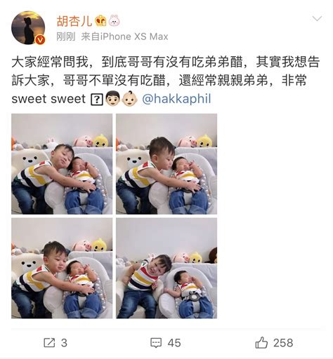 胡杏儿俩儿子互动超有爱，哥哥趁弟弟睡觉又摸又亲奕霆