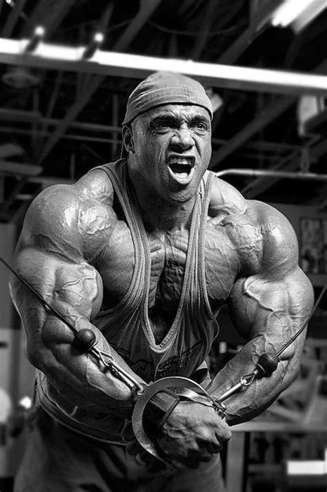 كمال الاجسام