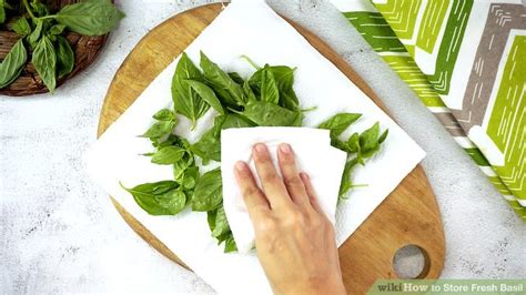 The Easiest Way To Store Fresh Basil Wikihow