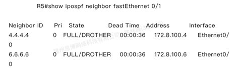 How To Config OSPF Virtual Link Password Authentication And Totally Stub Area SPOTO Official Blog