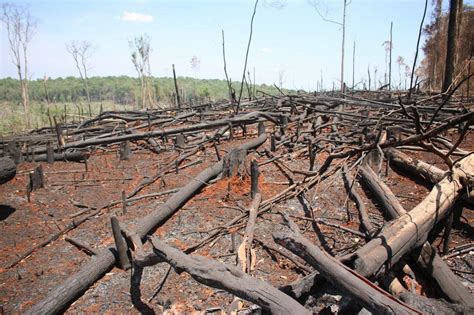 អភិបាលខេត្តមណ្ដលគិរី បញ្ជាឱ្យអាជ្ញាធរមានសមត្ថកិច្ចដកហូតដីនៅព្រំដែន