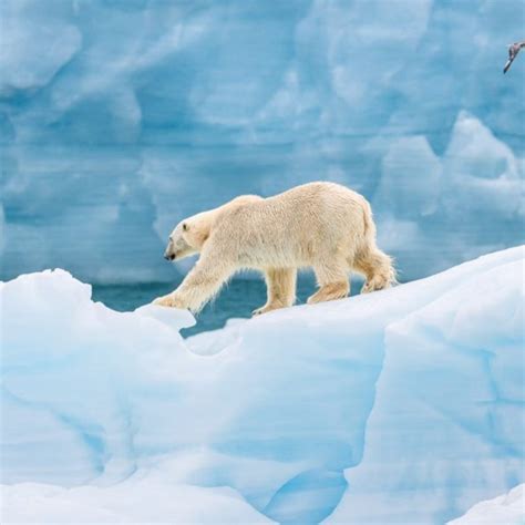 Certificate In Climate Science Accredited Online Courses Flexible
