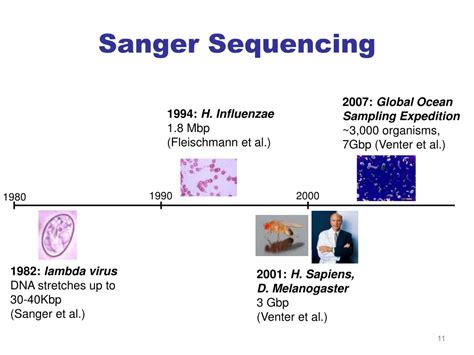 Ppt Next Generation Sequencing Powerpoint Presentation Free Download