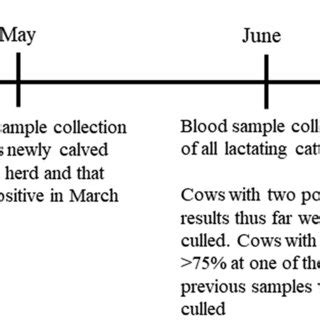 Timeline Linear Timeline Display Critical Activities During The Study Download Scientific