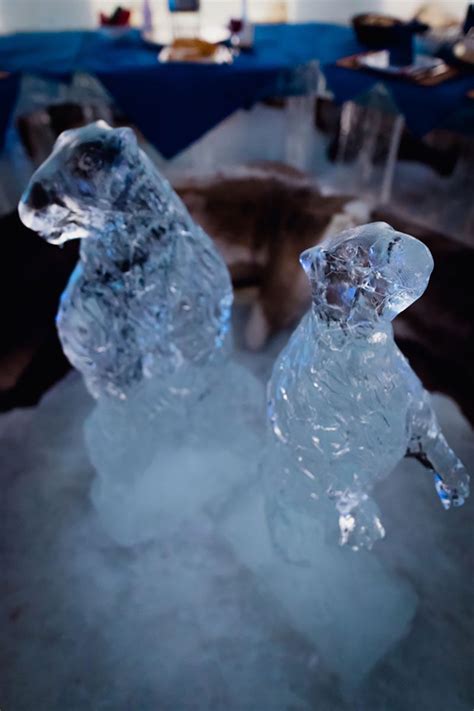 This Igloo Wedding In Austria Will Warm Your Cold Cold Heart