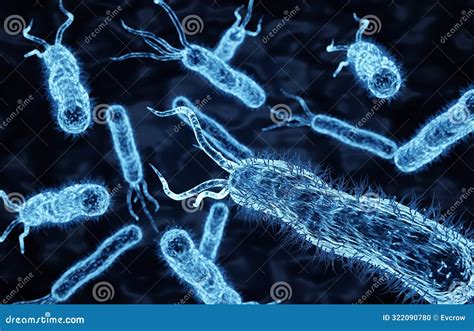 Escherichia Coli Bacteria Cell Royalty Free Stock Image Cartoondealer