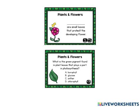 Homework Week 6 Day 1 Worksheet Live Worksheets