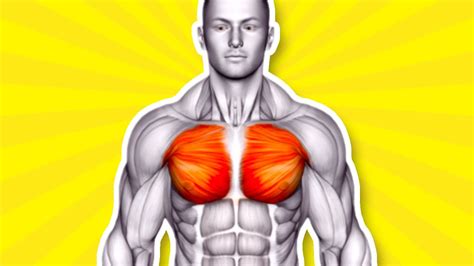6 Different Push Up Variations To Strengthen Your Upper Body Youtube