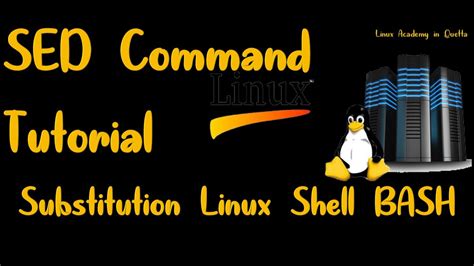 sed command tutorial basic substitution linux shell bash youtube
