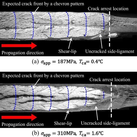 Brittle Crack Propagationarrest Behavior In Steel Plate Part I Model Formulation Request Pdf