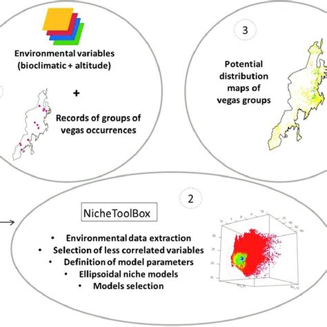 Steps Performed For Ecological Niche Modeling And Obtaining Potential Download Scientific