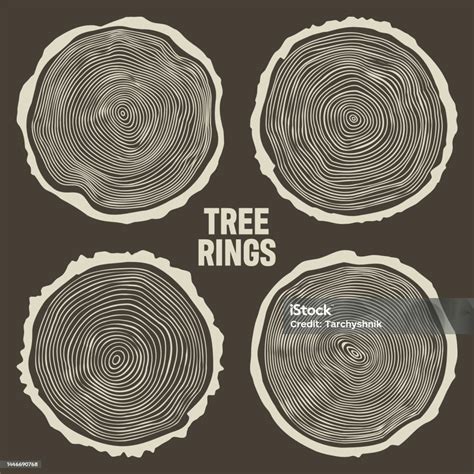 둥근 나무 줄기 컷 톱 소나무 또는 오크 조각 목재 나무 나무를 잘라 보았다 나무 반지와 갈색 나무 질감 손으로 그린 스케치 벡터 일러스트레이션 가문비나무에 대한 스톡 벡터