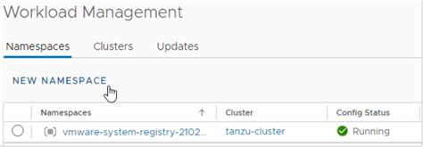 Creating A Vsphere Namespace Dell Powerstore Vmware Vsphere With Tanzu And Tkg Clusters
