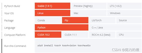Docker容器安装pytorch及第三方库docker安装第三方库rsa Csdn博客