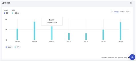 Assets Digital Asset Management Usage Data Documentation