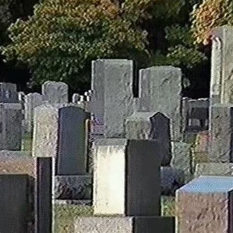 Cadaver By Bones Album Trap Reviews Ratings Credits Song List Rate Your Music