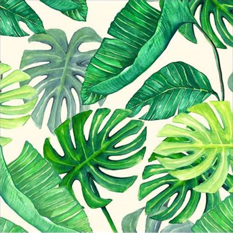 45 Hoffman Fabrics Hummingbird Haven Marshall Dry Goods Company