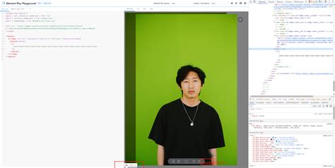Style Image Viewer Image El Image Slot Viewer Out Of Viewport