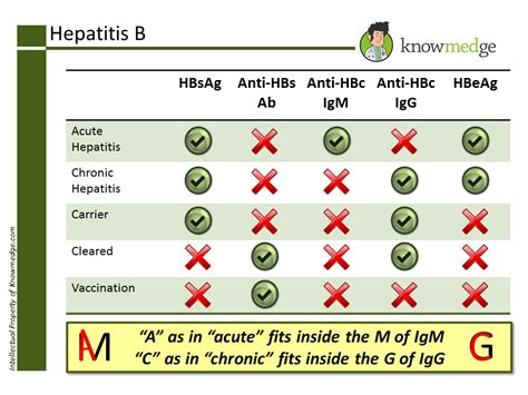 Hepatitis Serology Interpretation Chart At David Sells Blog
