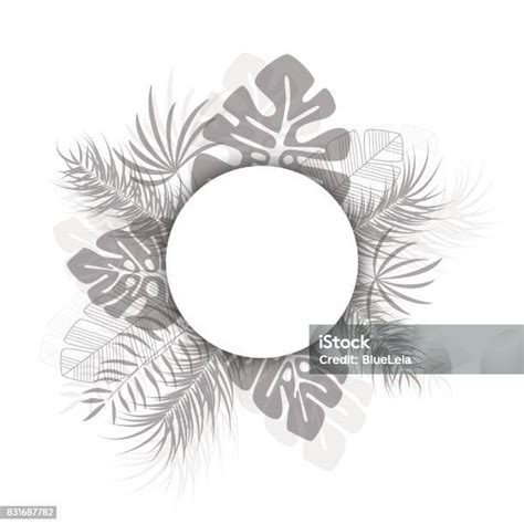 검은 종 려 잎 및 텍스트 벡터 일러스트 레이 션에 대 한 장소를 가진 백색 배경에 식물 열 대 디자인 0명에 대한 스톡 벡터 아트 및 기타 이미지 Istock