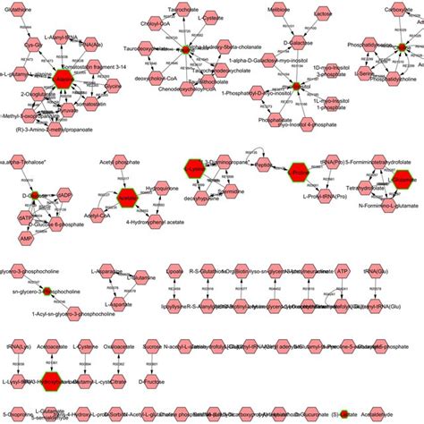 Markov Clustering Based Reconstruction Of Hsp65 Centered Metabolic Download Scientific Diagram