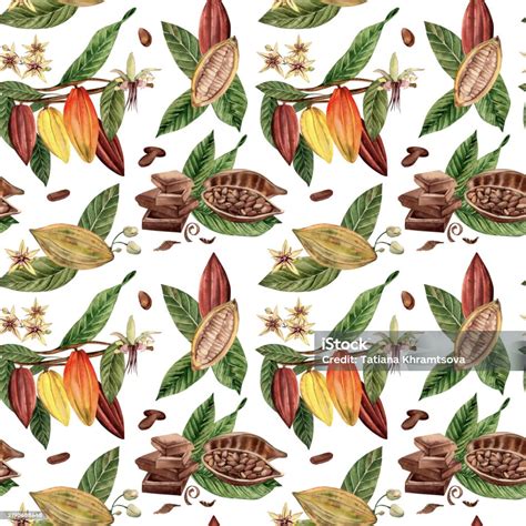 과일 꽃 나뭇잎 코코아 나무의 꽃과 완벽 한 패턴 열대 식물의 그림은 식물 스타일의 수채화로 손으로 그려져 있습니다 직물 포장 벽지를 위해 0명에 대한 스톡 벡터 아트 및