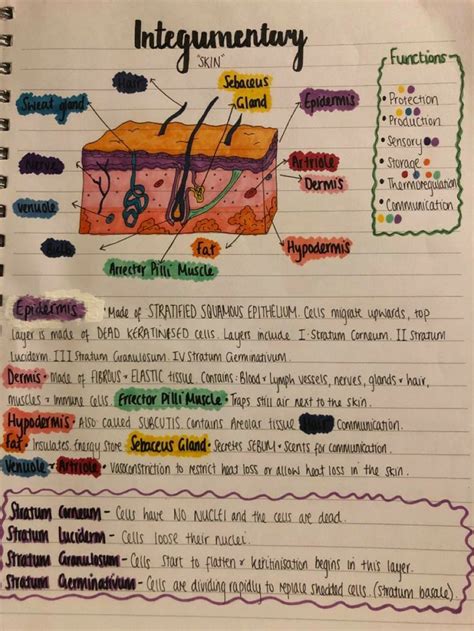 Rahul Rathod On Linkedin Allaboutintegumetrysystemawareness Cpt Medicalcoder Cptcoding