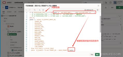 【oracle Apex开发小技巧3】oracle Apex Plsql动态拼接的注意点和技巧 Csdn博客