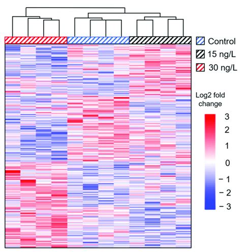Heatmap Dendrogram Comparing Differentially Expressed Genes Degs In Download Scientific