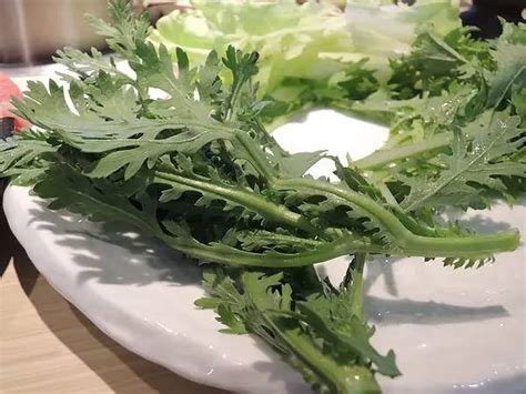 山茼蒿图片 茼蒿图片 茼蒿图片大全大图 第2页 大山谷图库