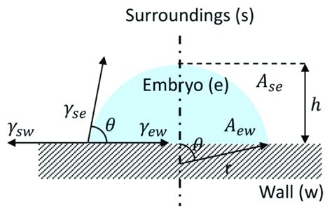Schematic Representation Of Embryo Growth During Heterogeneous Download Scientific Diagram
