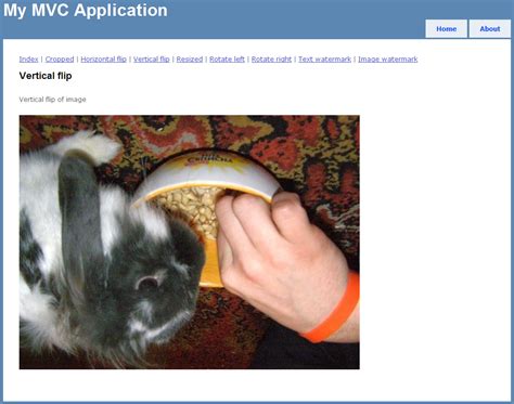 Gunnar Peipman S ASP NET Blog ASP NET MVC 3 Beta Simple Image